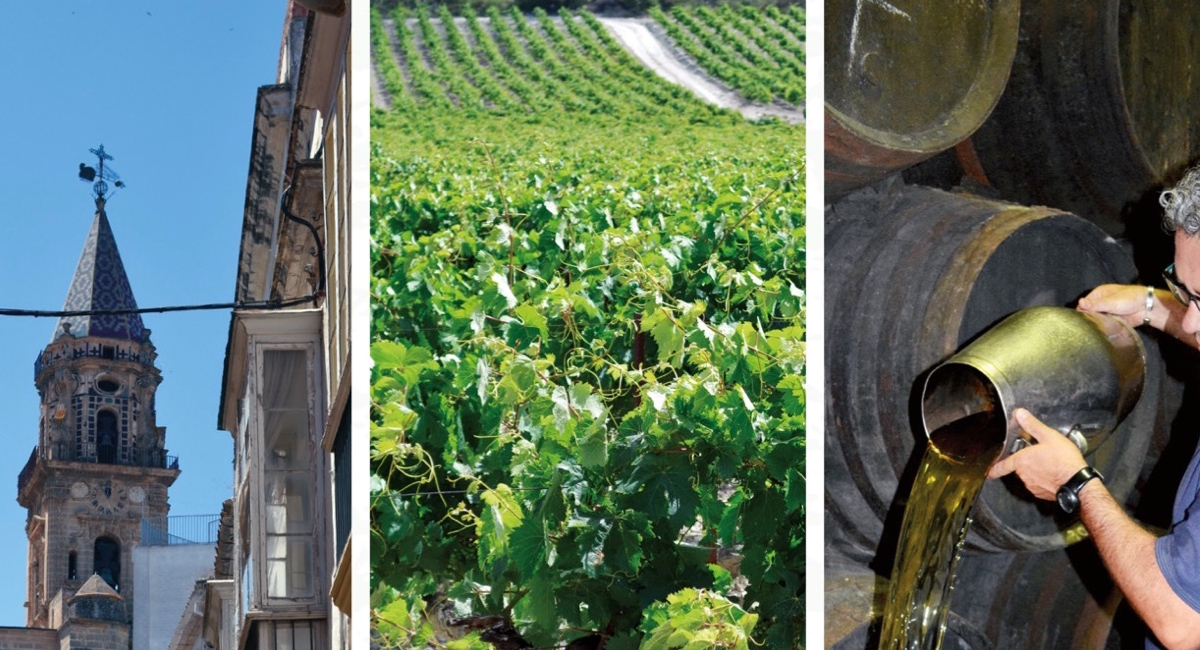 The Sherry Book - by Philip Rowles